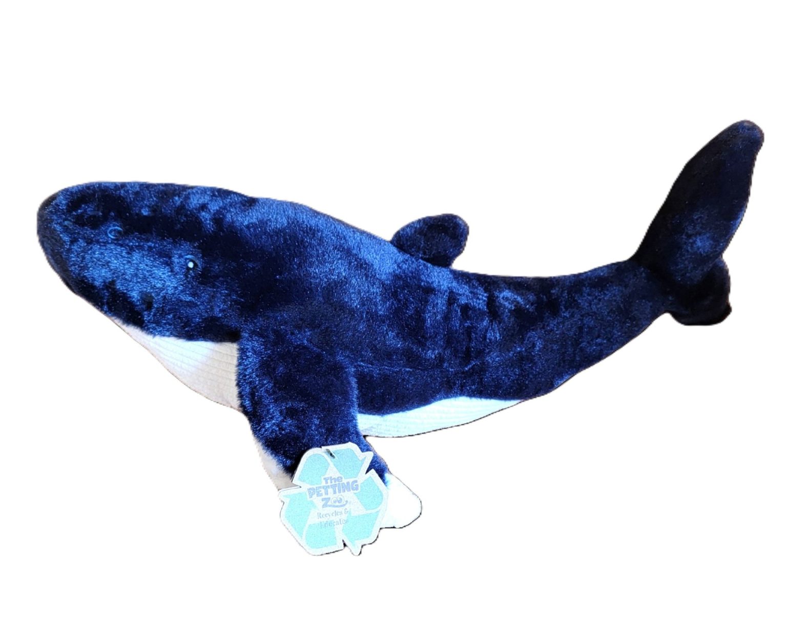Adopt an Orca | Adoption Packages | Whale and Dolphin Conservation