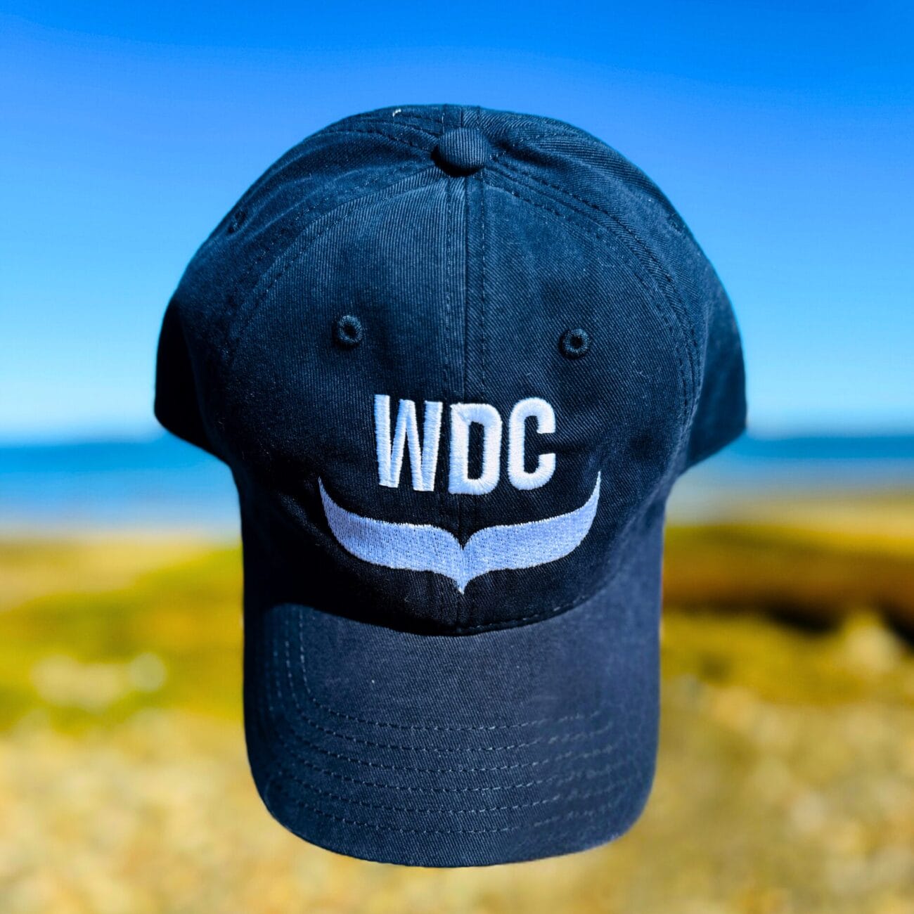 Adopt an Orca | Adoption Packages | Whale and Dolphin Conservation