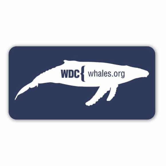 WDC Stickers | Support Whales and Dolphins | WDC Shop