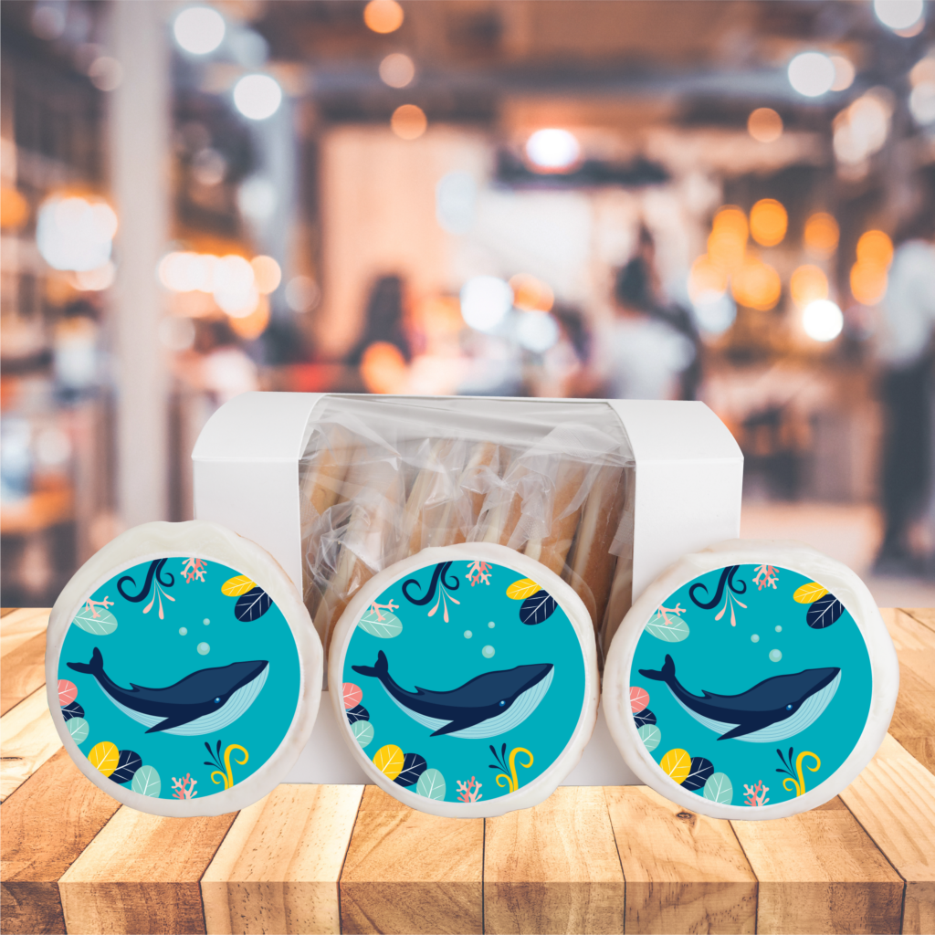 Shop to Save Whales | Charity Gift Shop | Whale & Dolphin Conservation