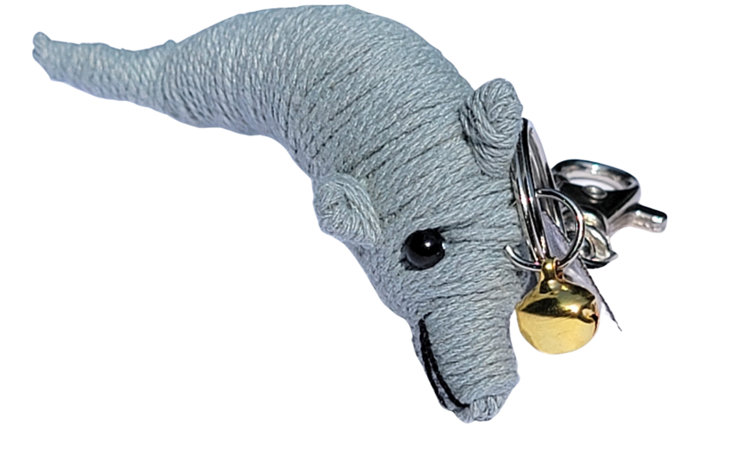 Dolphin Keychain | Whale & Dolphin Conservation