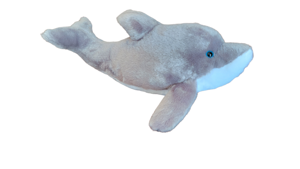 Adopt an Orca | Adoption Packages | Whale and Dolphin Conservation