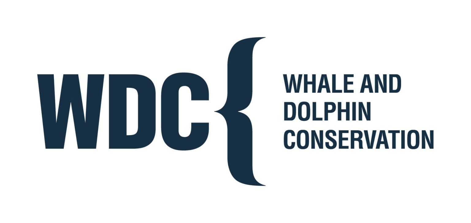 Adopt an Orca | Adoption Packages | Whale and Dolphin Conservation