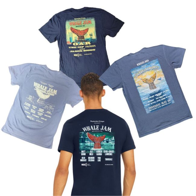 Adopt an Orca | Adoption Packages | Whale and Dolphin Conservation